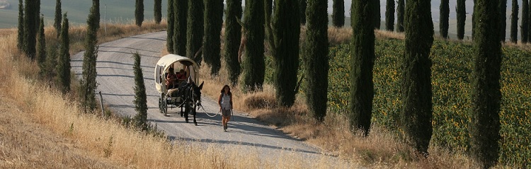 En chemin vers Rome : L’histoire d’une incroyable aventure familiale ...